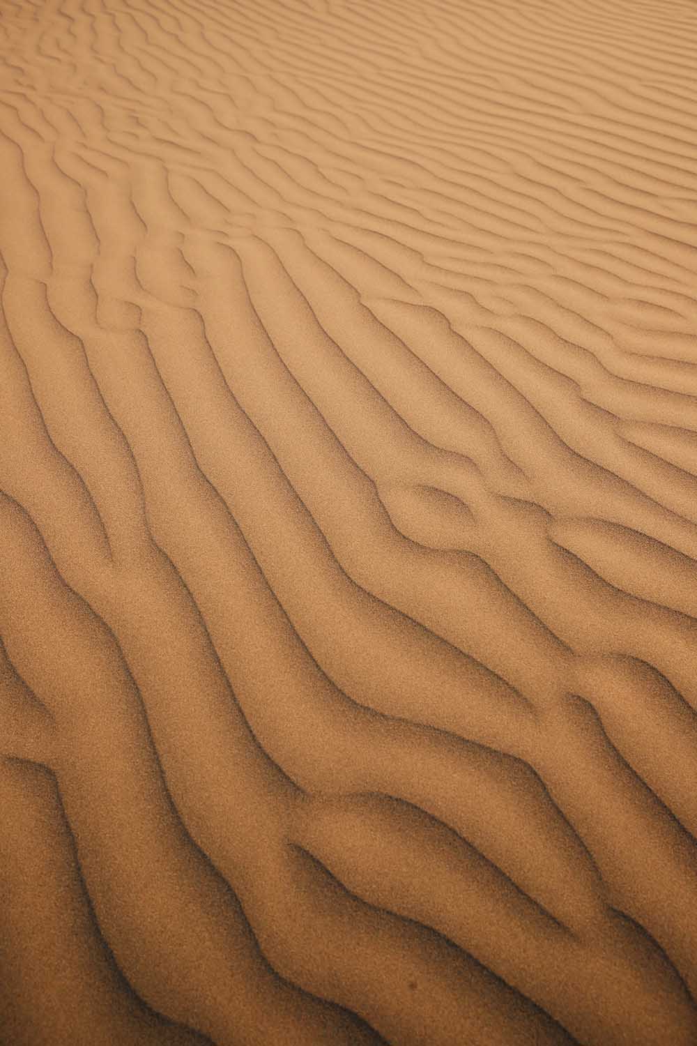Sound Patterns in Sand: Visualise What Music Looks Like | Sound of Life ...