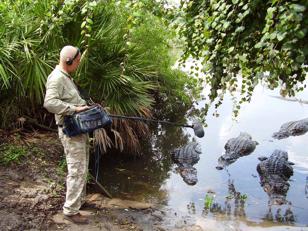The Work and Life of Sound Recordist Chris Watson | Sound of Life ...