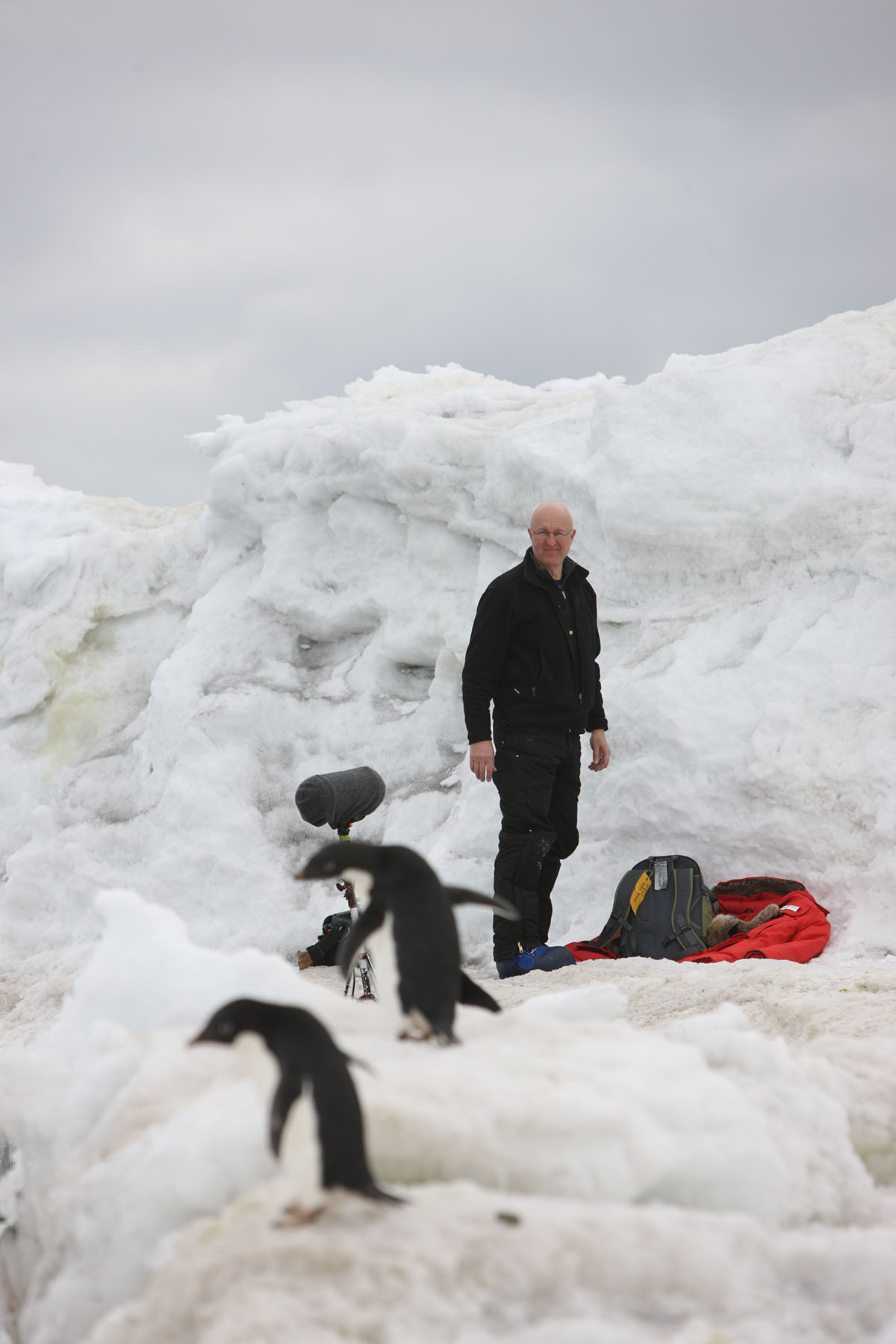 The Preservation and Nurturing of Symphonies in the Lands of Ice ...