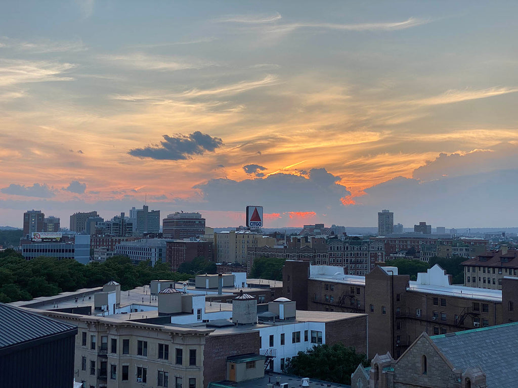 Hometown Hotspots: Boston Tripping With Singer-Songwriter Thomas Ng ...