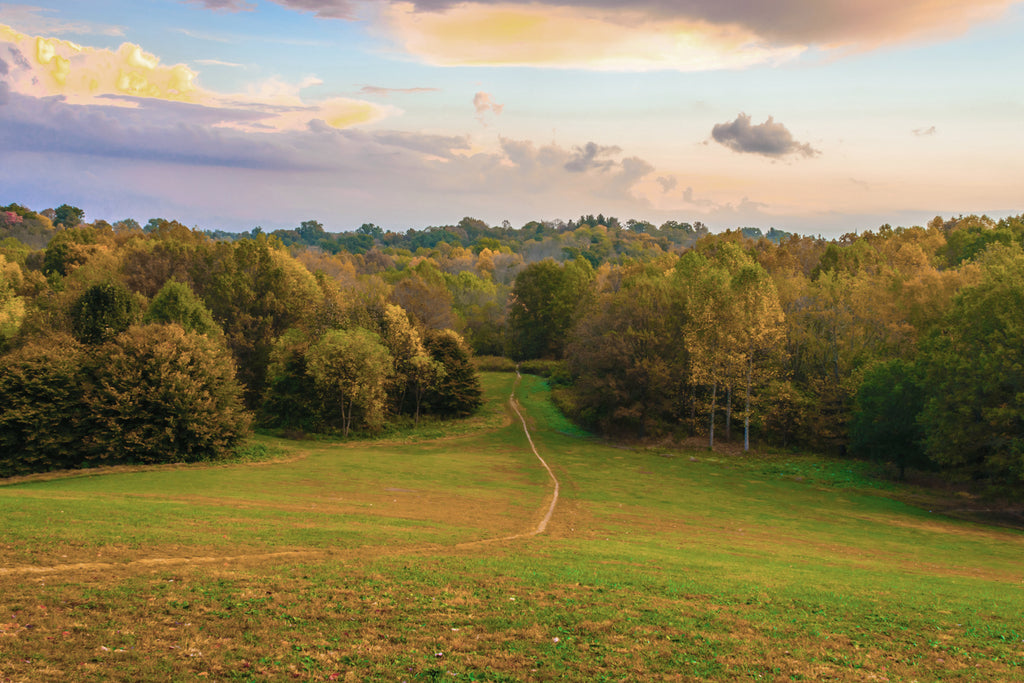 Hometown Hotspots: Pedalling Through Louisville, Kentucky with Gavin ...
