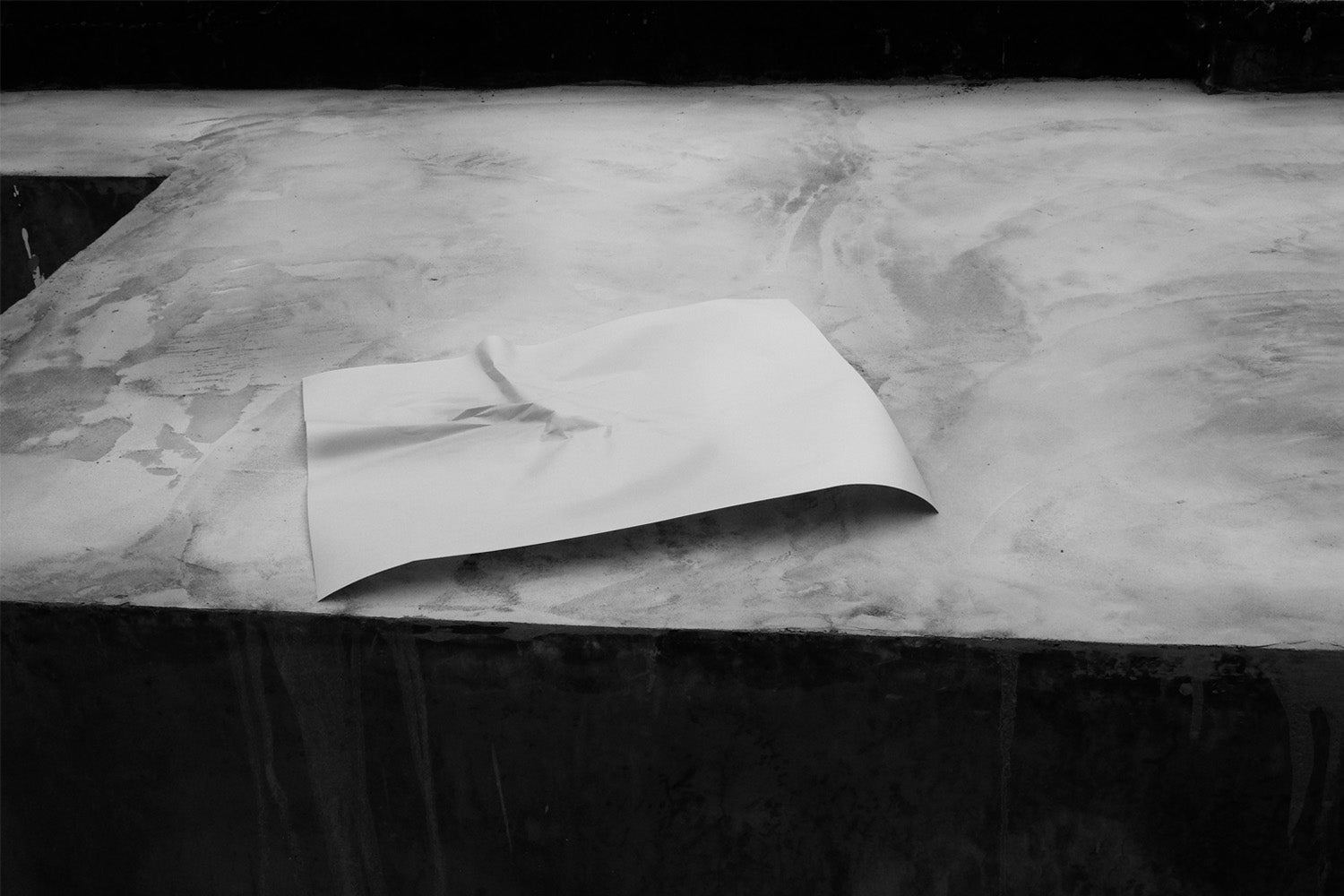 Fenko Catalysis Chamber Really Loves Paper | Sound of Life | Powered by KEF