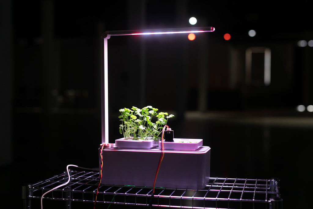 Bioart: The Discipline of Straddling Art and Science | Sound of Life ...