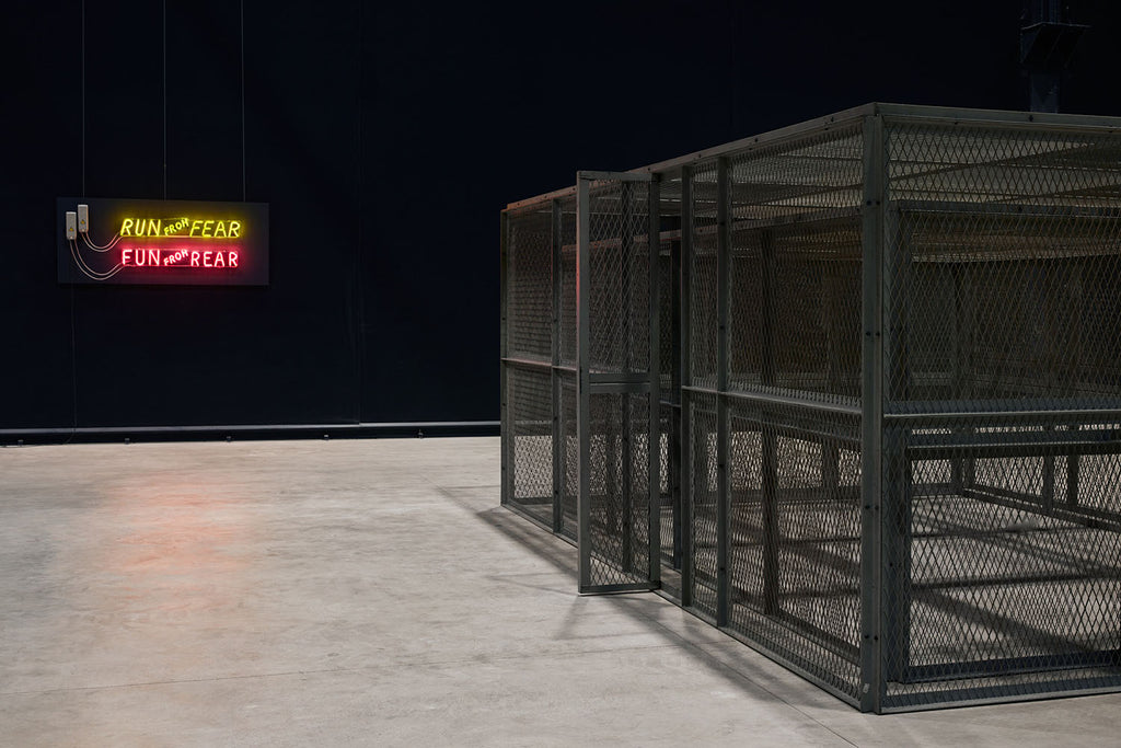 Bruce Nauman’s Varied and Artful Experiments | Sound of Life | Powered ...