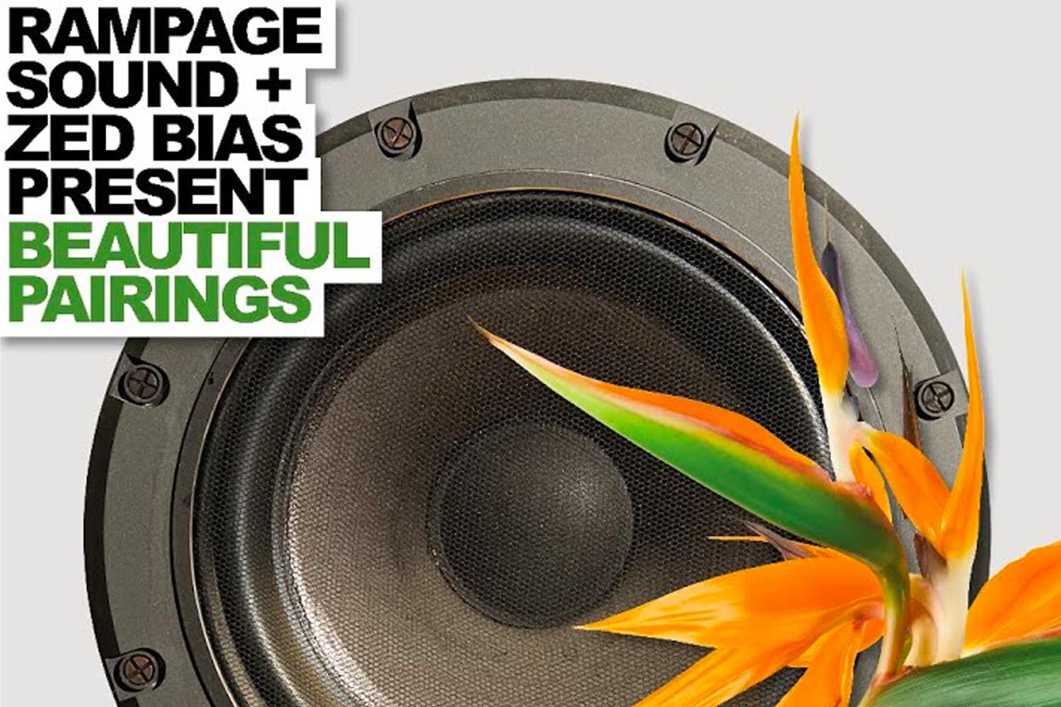 Take a Bit of Carnival Sound Home | Sound of Life | Powered by KEF