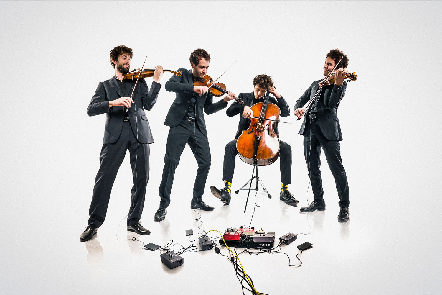 A Quirky Quartet in Their Natural Home | Sound of Life | Powered by KEF